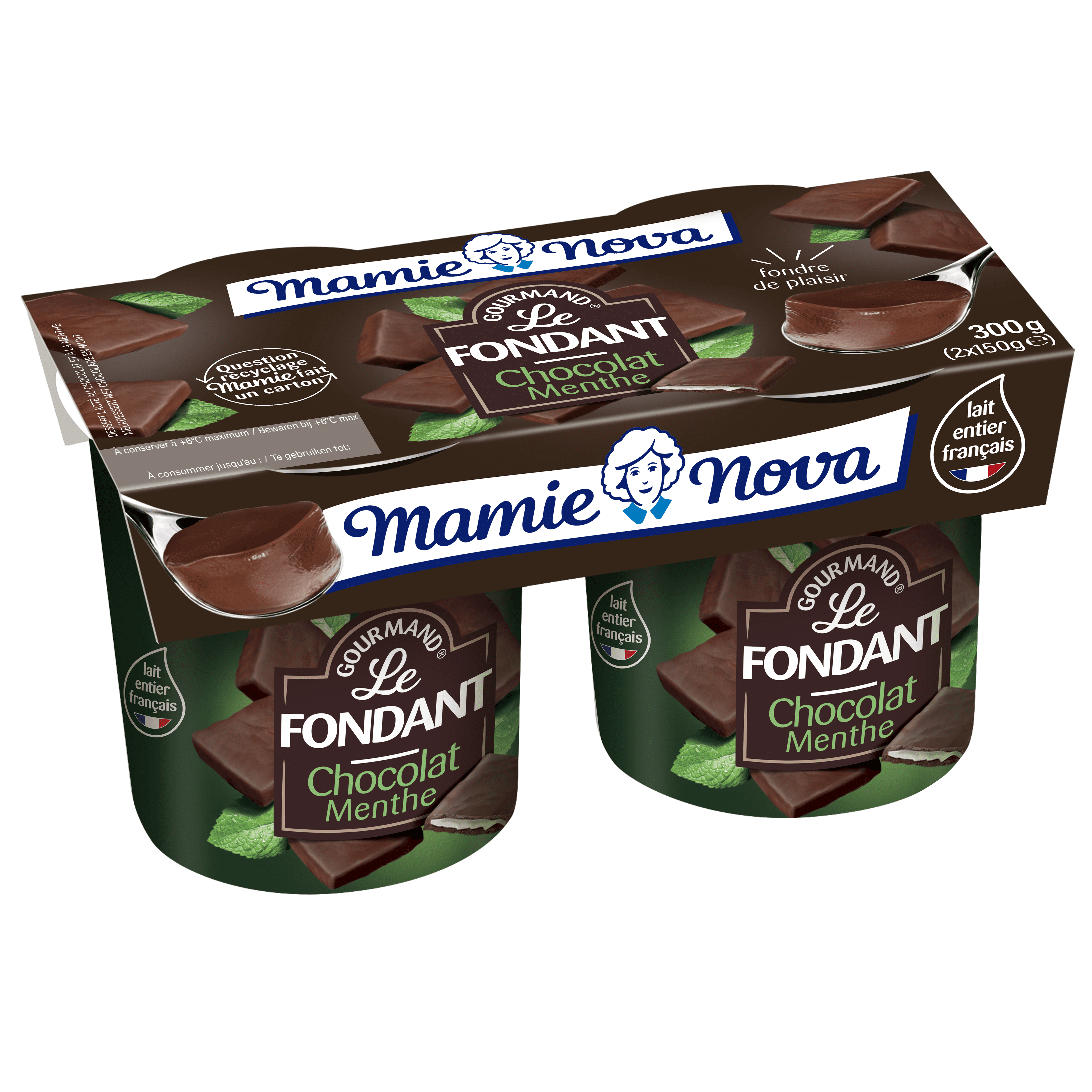 GOURMAND® FONDANT CHOCOLAT / MENTHE 2x150g - Andros FoodService