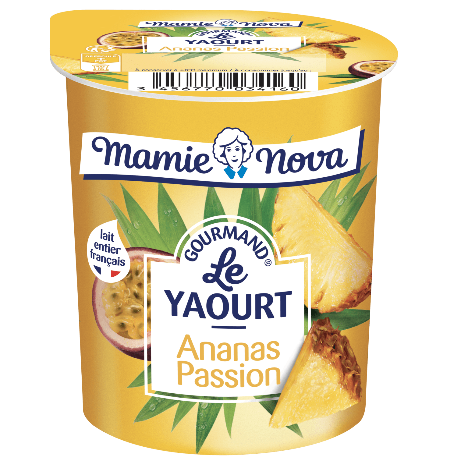 GOURMAND® YAOURT ANANAS / PASSION 2x150g - Andros FoodService
