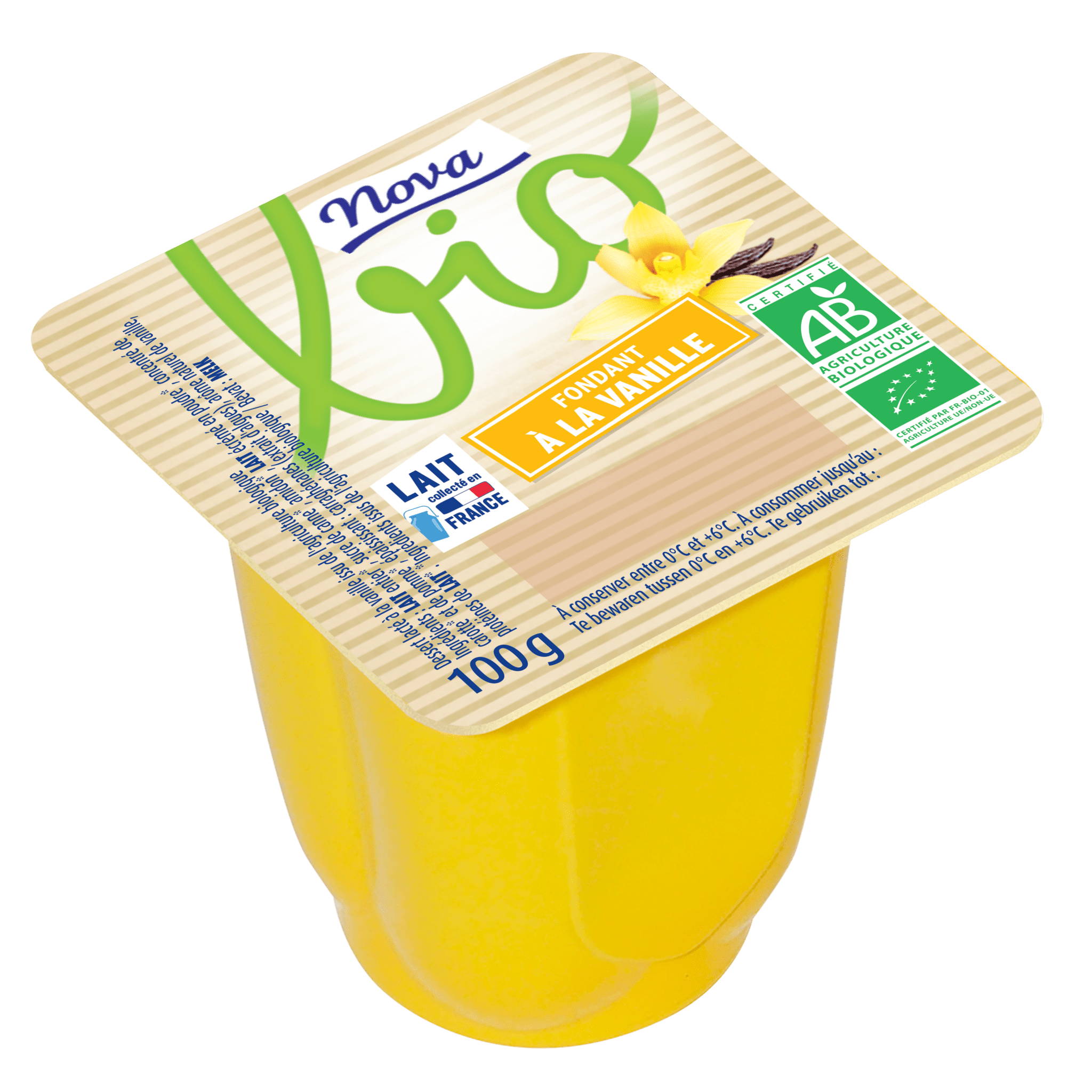 FONDANT À LA VANILLE BIO 100g - Andros FoodService