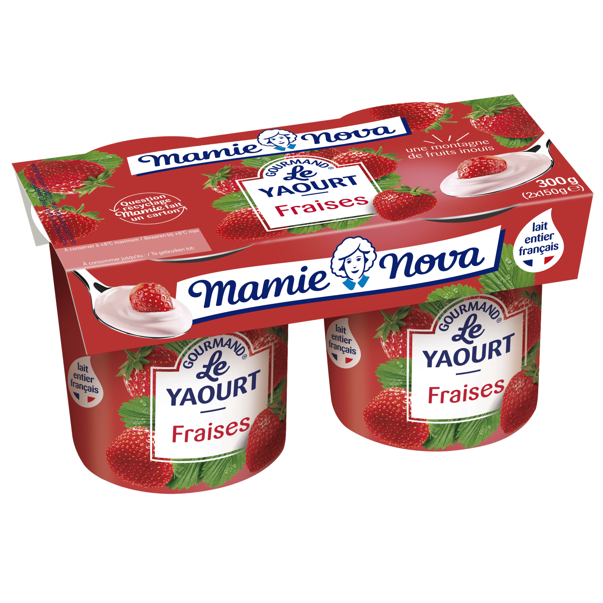 GOURMAND® YAOURT FRAISES 2x150g - Andros FoodService