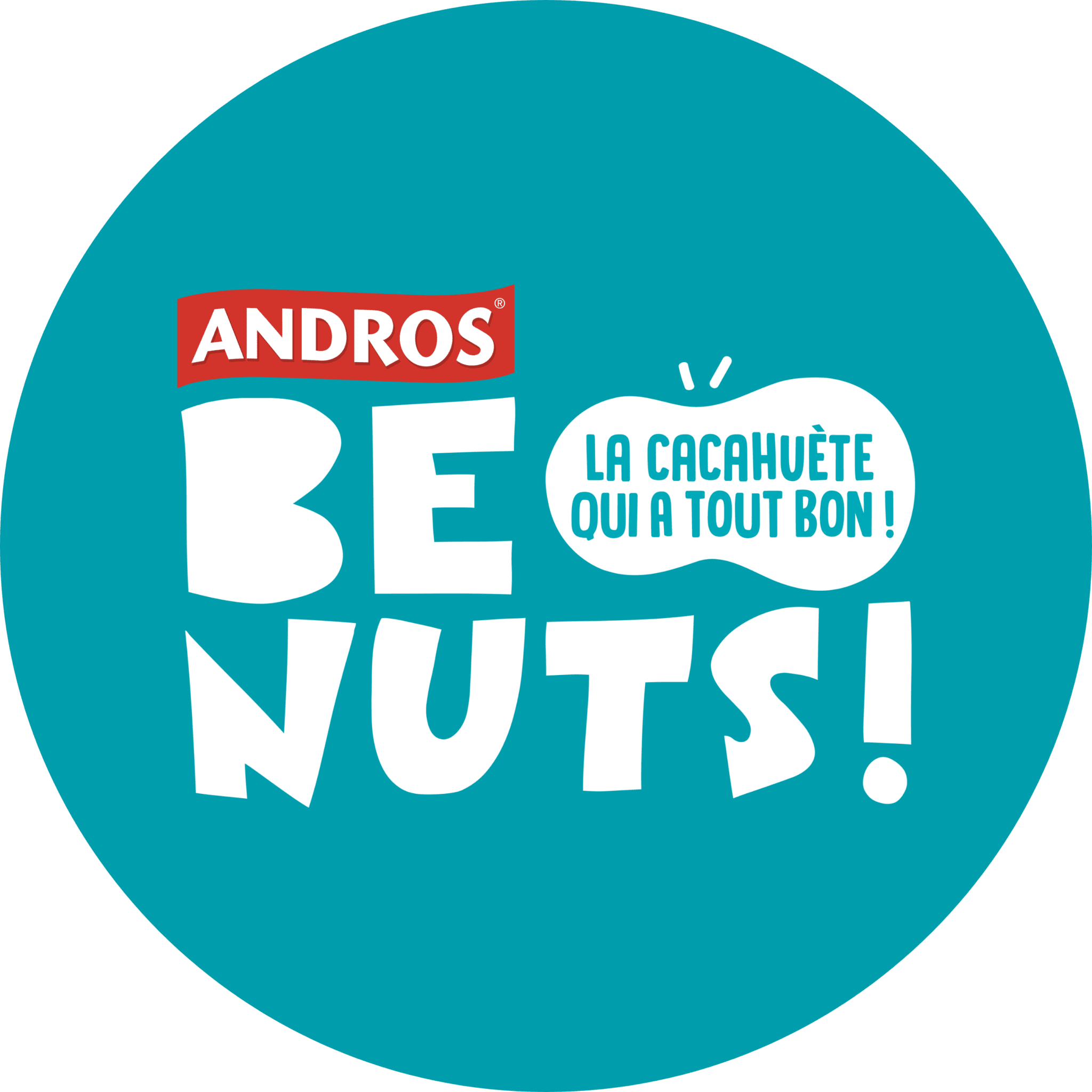 Marque Andros Be Nuts - Andros FoodService